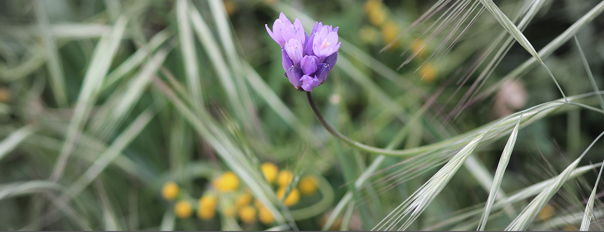 Home - Ryan Rentfro's PortfolioRyan Rentfro's Portfolio | Portfolio 5